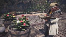 Monster Hunter: World, How to Unlock More Botanical Research Slots ...