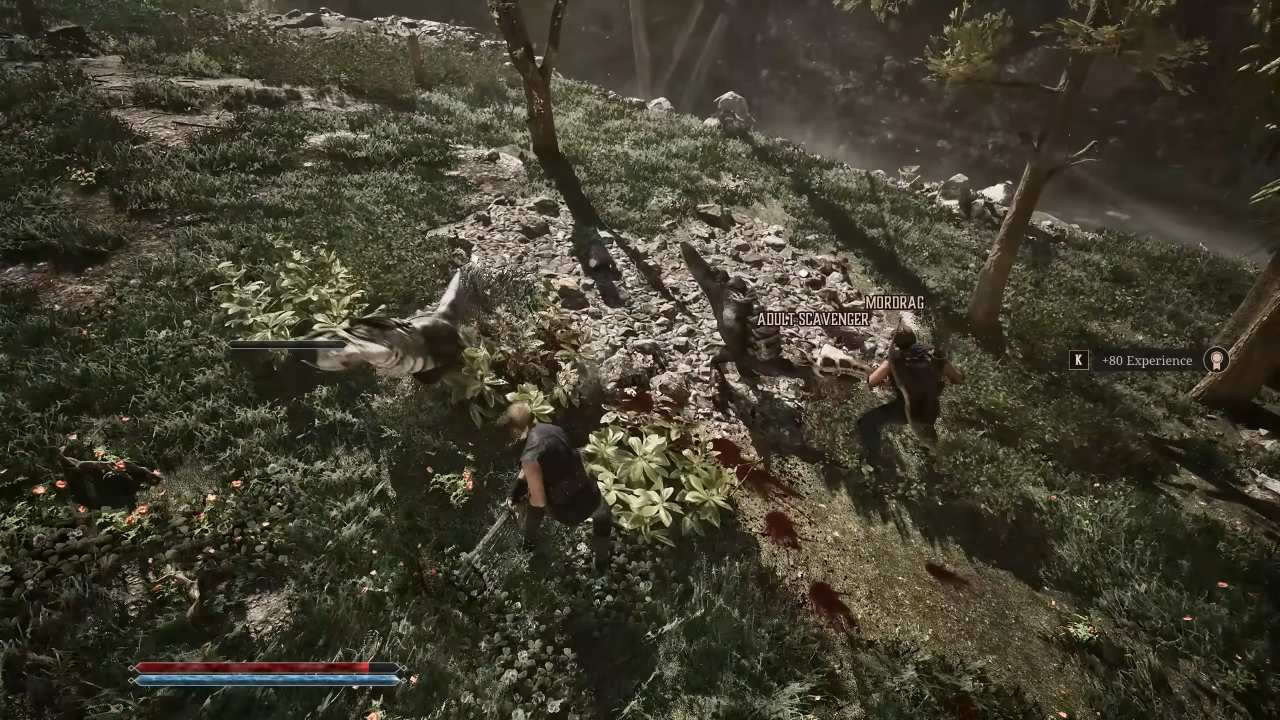 Gothic 1 Remake Guide | How to Farm XP & Level Up Early | NoobFeed